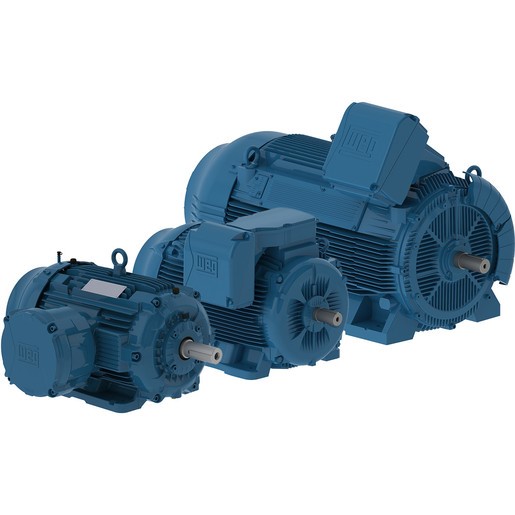 Weg Motors - BrightMarg Engineering & Logistics